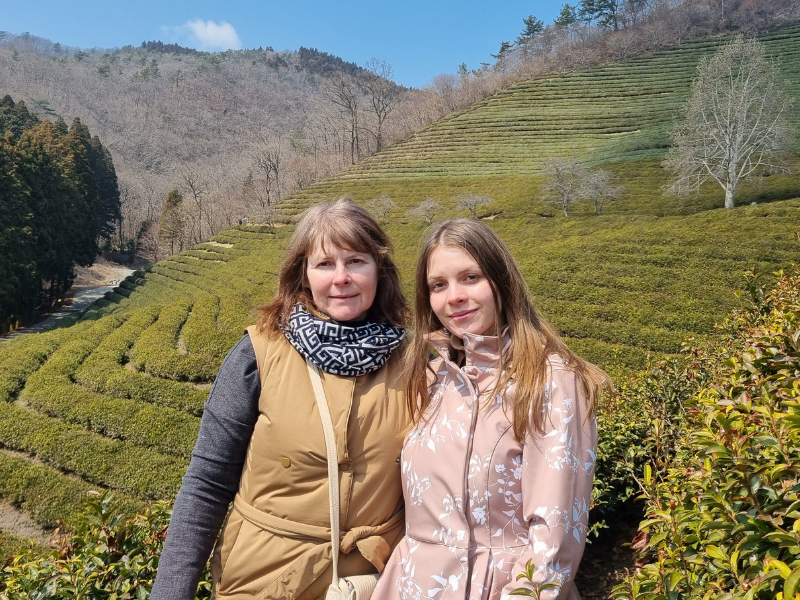 Tea traditions: from the Nordics to Korea – Plukt